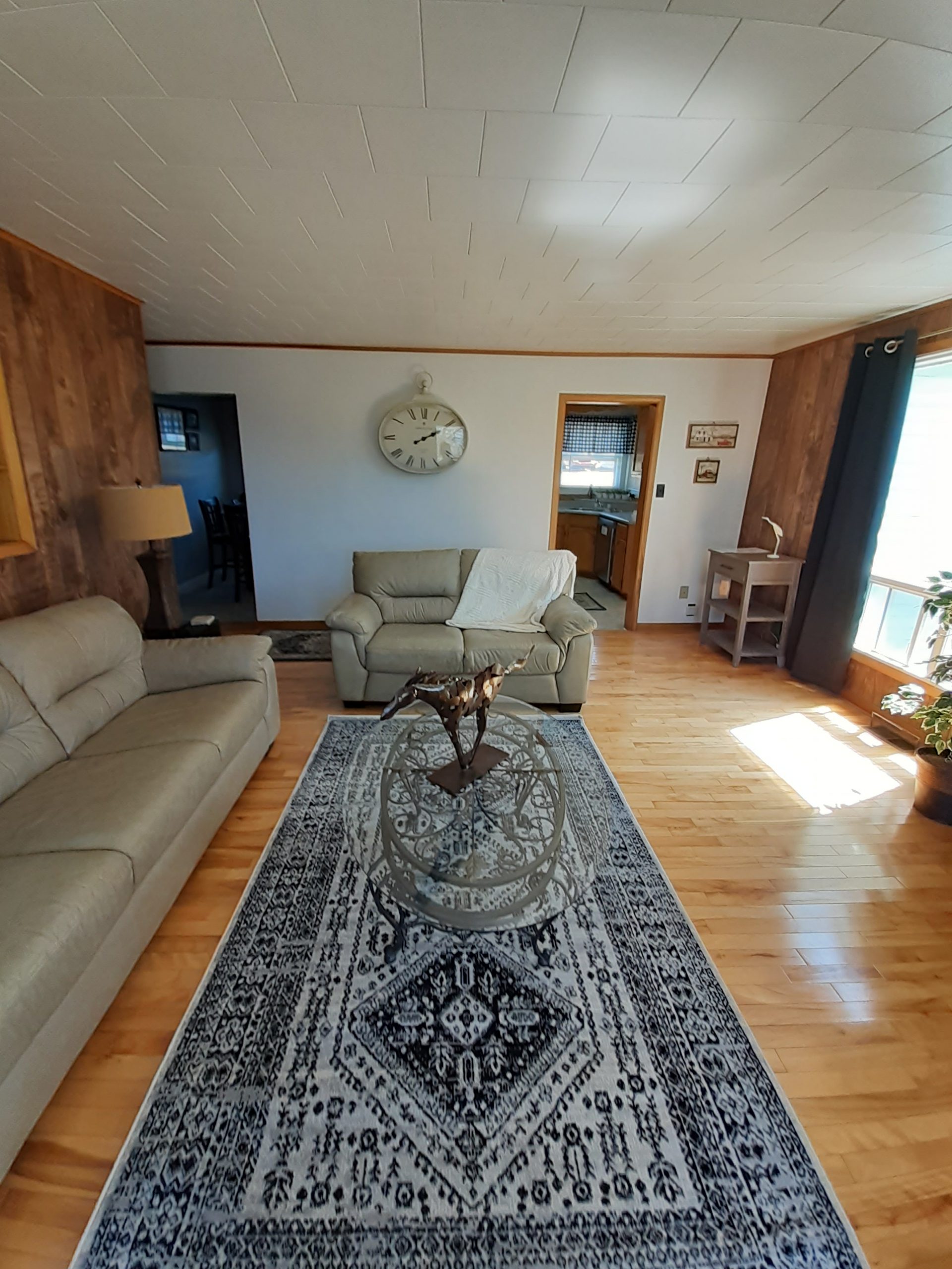 Crow - Eagles Eye View Cottages
